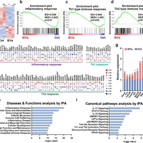 rna seq analysis of lps stimulated raw 264 7 cells transcriptome
