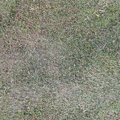 Photoshop Seamless Grass Grass And Lawn 16 Different Images Digital