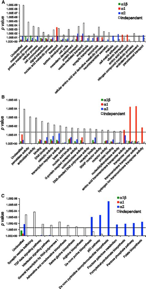 Functional Annotation Of Tissue Specific Genes Influenced By Mef2c
