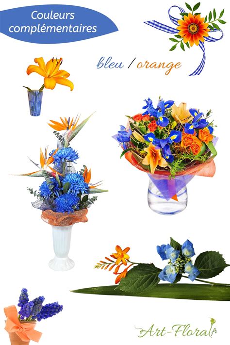 Couleurs Complémentaires Au Jardin Et En Art Floral