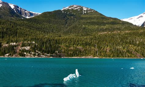 The Science Of Rewarming After Cold Exposure