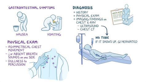 Symptoms Of A Bad Diaphragm At Joe Vogel Blog