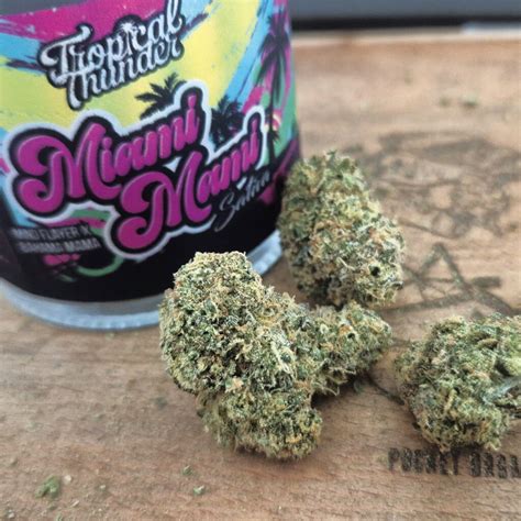 医療大麻「miami Mami」の特徴｜南国シトラスの甘さが広がる