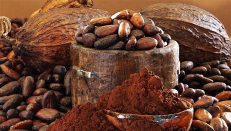 「ココア」と「ミロ」の違いは 1分で読める 違いは