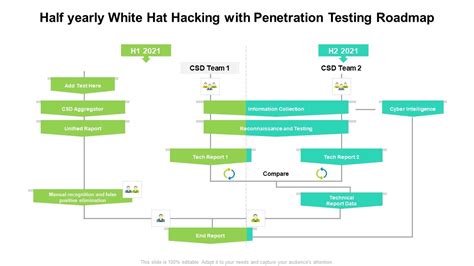 half yearly white hat hacking with penetration testing roadmap designs