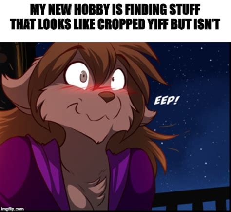 Not Cropped Yiff Imgflip