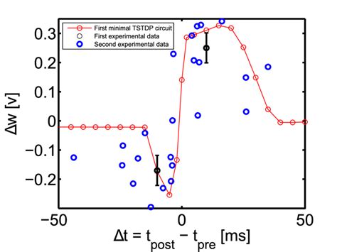 4 Stdp Timing Window Experiment In The Hippocampal Region Can Be