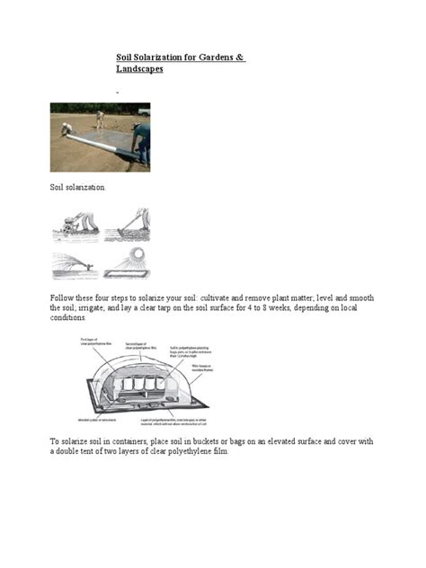 Soil Solarization For Gardens Pdf Weed Mulch