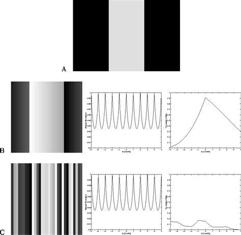 Figure 1 From Multimodal Image Registration By Maximization Of The