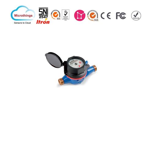 Water Meter Itron Microthings