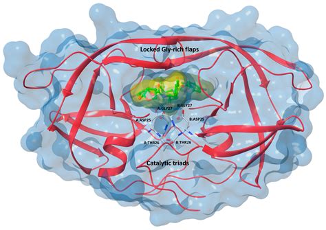 Ijms Free Full Text Off Target Based Design Of Selective Hiv 1
