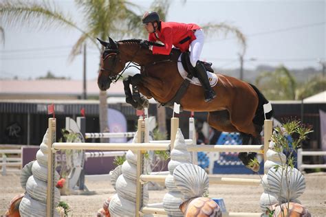 Van Het Schaeck Un Affixe Aux Allures De Diamant Qui Vaut Des Millions Signé Perry De Winter 1 2