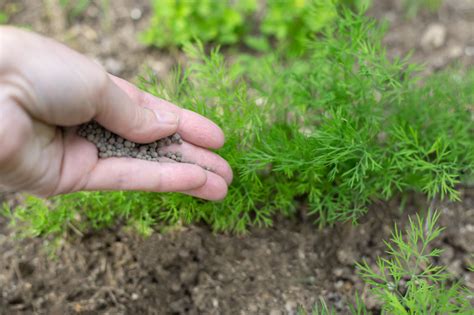 How To Add Phosphorus To Soil Hunker