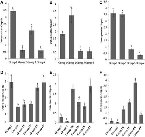 expression of osteocalcin a osteonectin b and osteopontin c