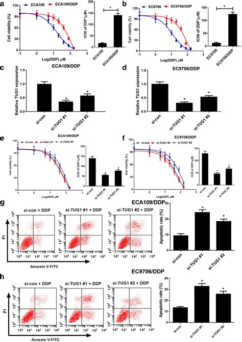Tug1 Confers Cisplatin Resistance In Esophageal Squamous Cell Carcinoma
