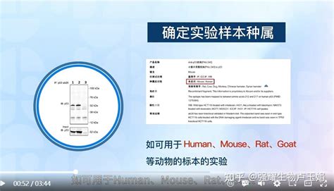 抗体选购避坑指南：从wb到流式让实验结果不再‘翻车” 知乎
