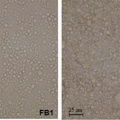 Spreadability Values Of Formulations Mean Of Three Results The