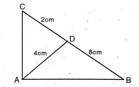 Wbbse Solutions For Class 10 Maths Chapter 22 Pythagoras Theorem Exercise 221 Wbbse Solutions