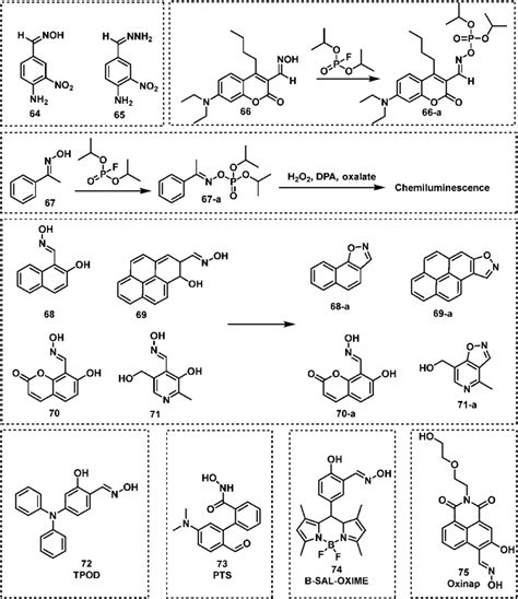 Chemical Structures Of Oxime Based Fluorescent Probes 64 75 Download