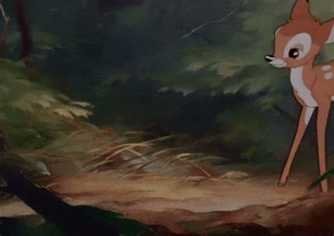  De Bambi Funny Pics Disney Bambi  En Er De Gashura