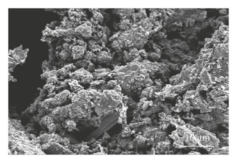 Sem And Eds Micrographs Of Ti2snc With Ratio Download Scientific