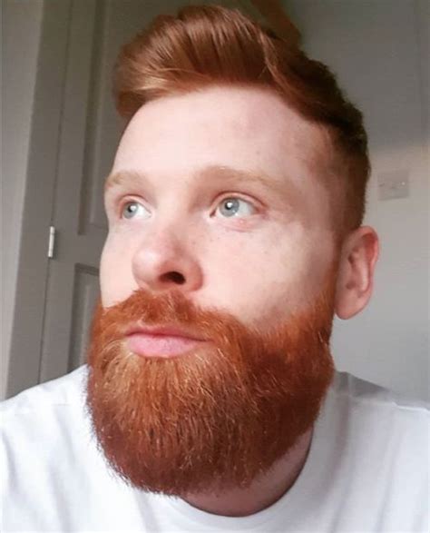 Pin On Beard Life