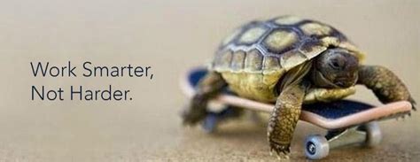 Surge Vs Github Pages How To Deploy A Create React App Project