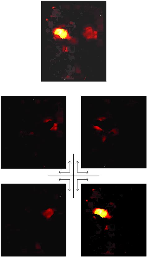 responses of the two consecutive frames after discrete flow