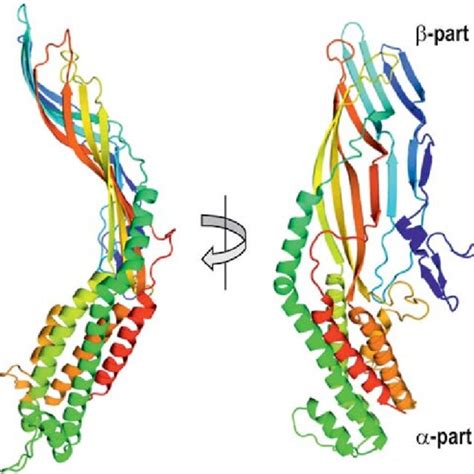 1 The Comparison Of The Maturation Protein Sequences Obtained By The Download Scientific