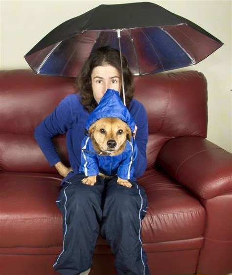 Rain dog — Stock Photo © biancalana #15346645
