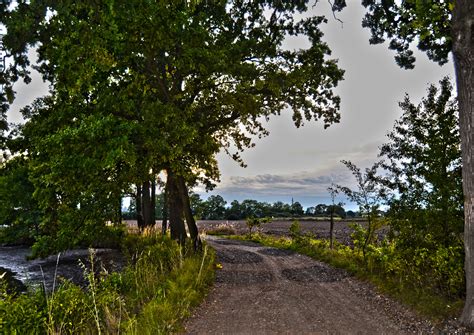 무료 이미지 경치 나무 자연 통로 잔디 도로 꼬리 잎 녹색 가을 삼림지 서식지 숲길 농촌 지역 우디 식물 3508x2480 682306