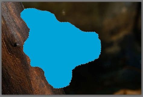 How To Create New Masks Corel Discovery Center