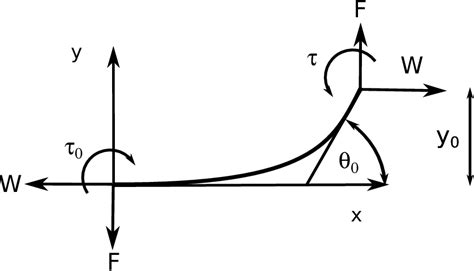 A Schematic The Flexure Element The Flexure Is Loaded With Force W