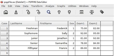 Pspp For Beginners