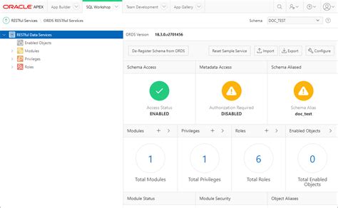 How To Access RESTful Services