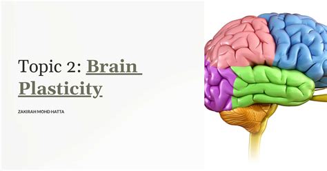 Topic 2 Brain Plasticity