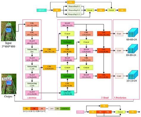structure of yolov7 tiny download scientific diagram