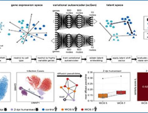 Characterization Of Long Non Coding Rna Transcriptome In Clear Cell Renal Cell Carcinoma By Next