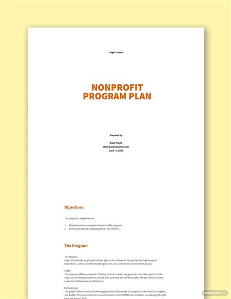 Nonprofit Program Development Plan Template Mgnar