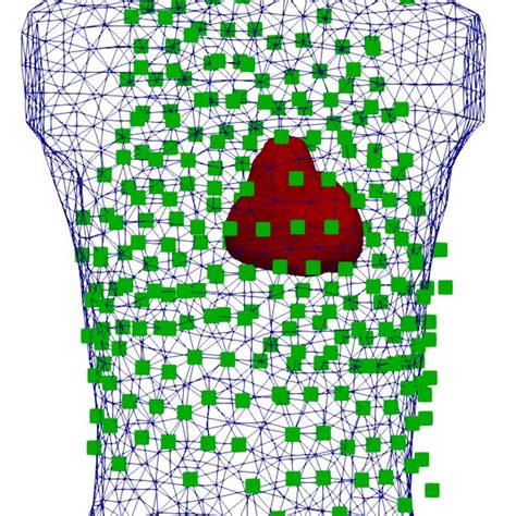 Segmented Heart Torso Model Used To Solve Inverse Solutions Without Download Scientific Diagram