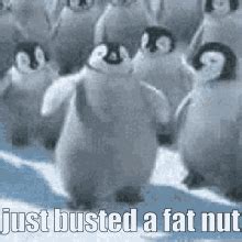 Bust A Nut S Tenor