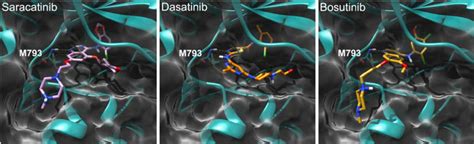 Binding Mode Of Saracatinib Dasatinib And Bosutinib In The Egfr