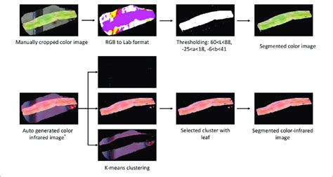 Image Segmentation Procedures Of The Color And Color Infrared Paired Download Scientific