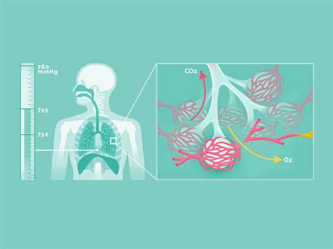 Machine Learning Techniques In Biomedical Signal Processing For
