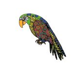 Purple Bellied Lory Free Svg