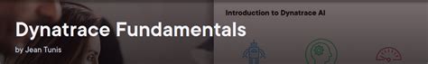 Dynatrace Fundamentals Course Section RootPerformance