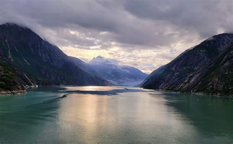Mille Fiori Favoriti Alaska Cruise Of Endicott Arm Fjord To Dawes Glacier