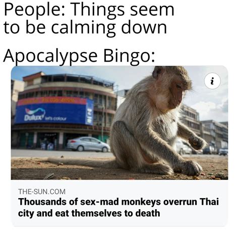 Queue The Suicidal Sex Monkeys Rmemes