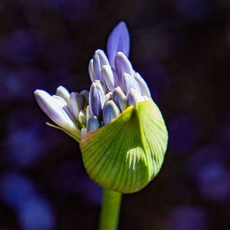 Eagle Eye Optics Home Facebook