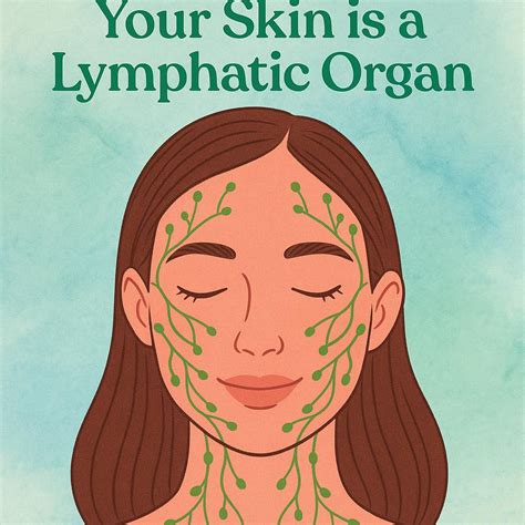 Lymphatica Your Skin Is A Lymphatic Organ Too And Heres Why Thats A Big Deal When You